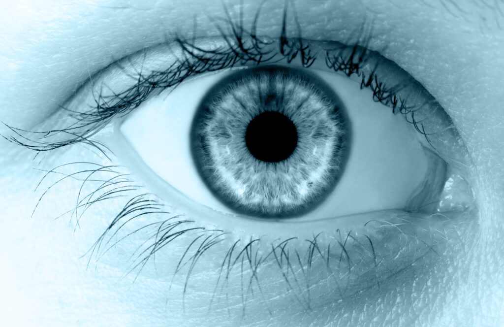 The Power of Eye Movements in Musculoskeletal Rehab | National ...