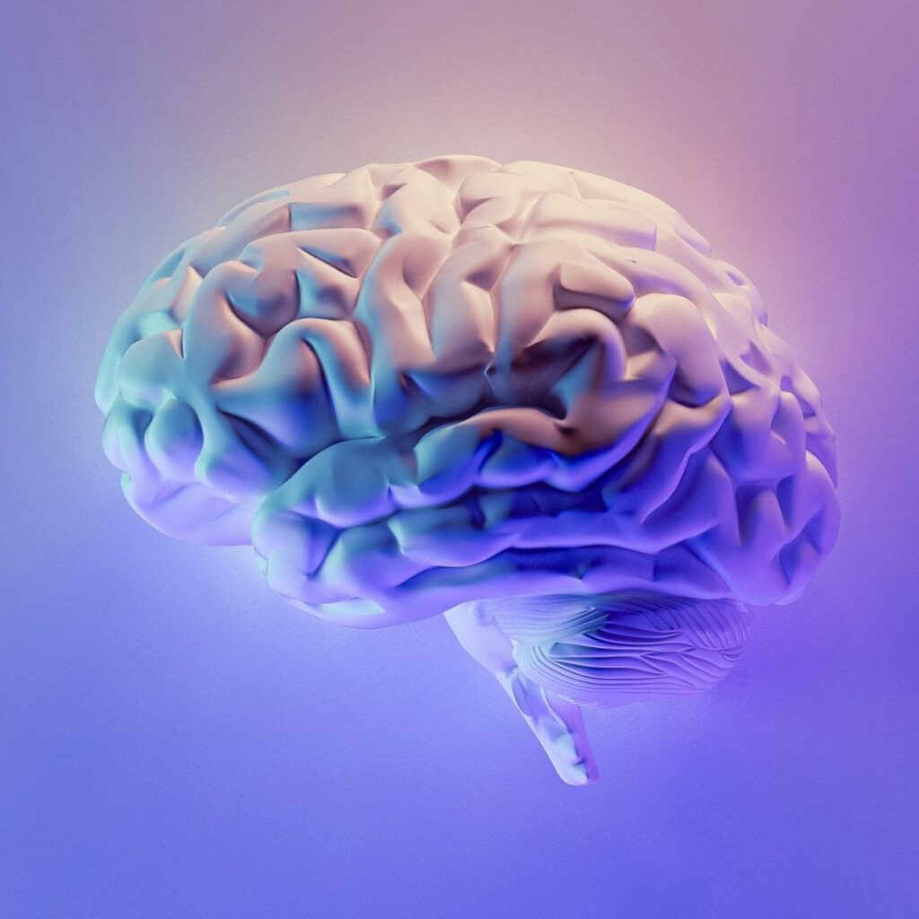 PANS/PANDAS Disorders in Children | National University Of Health Sciences